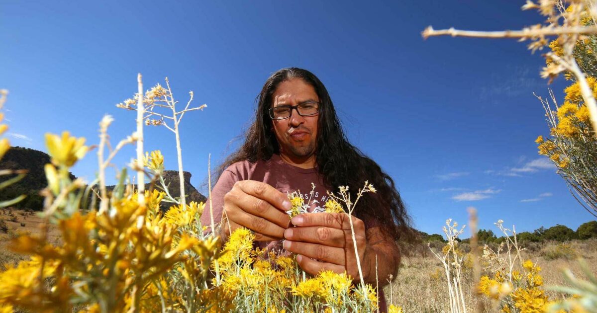 Blue Corn, Bear Root, and Resilience | Native America | PBS