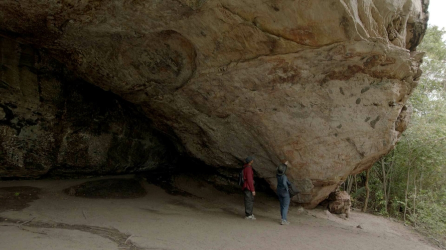 Anna Roosevelt Archaeologist