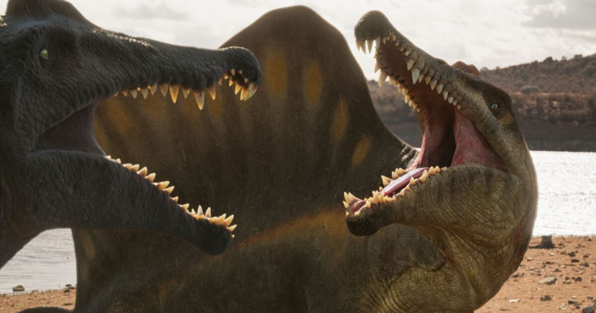 Spinosaurus Facts: Diet, Size, Behavior and Fun Facts | PBS