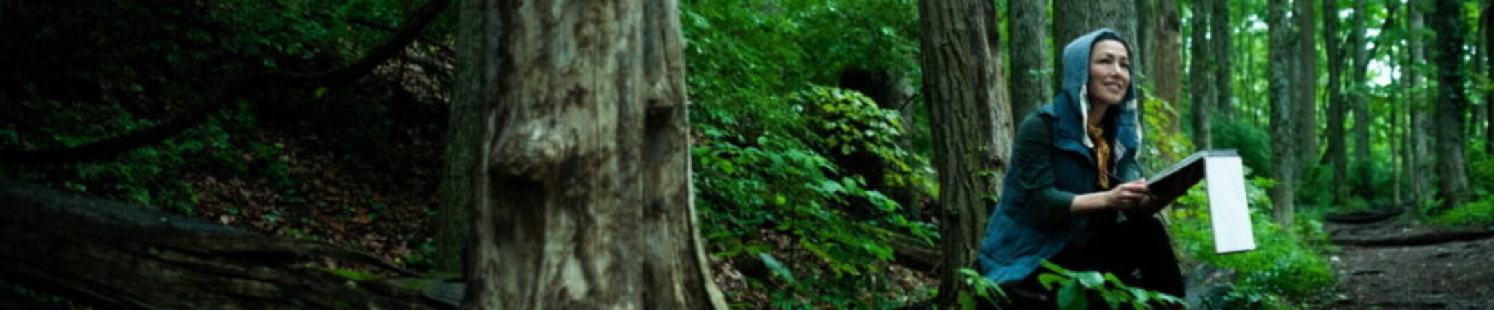 Who Was Julius Caesar? | PBS