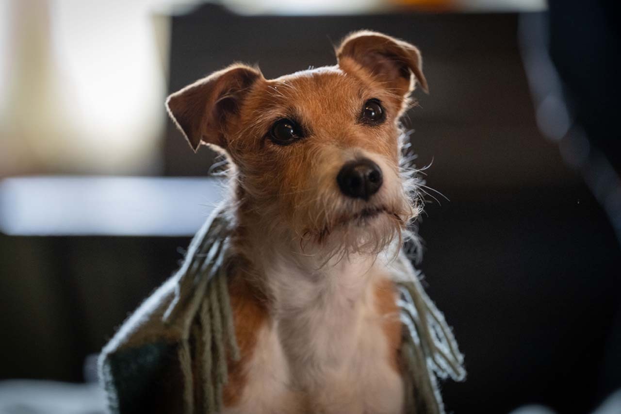 Call The Midwife Season 12 Episode 6 GIF Recap Modern Midwives Call The Midwife Season 12 Episode 6 GIF Recap Modern Midwives